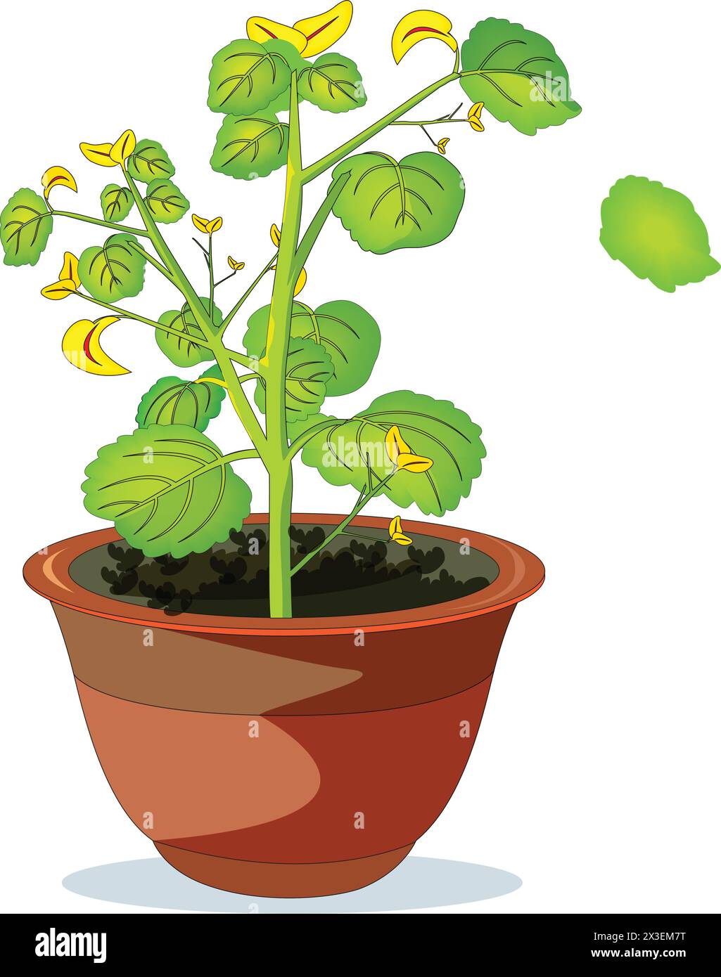 Growing plants in Stock Vector Images - Alamy