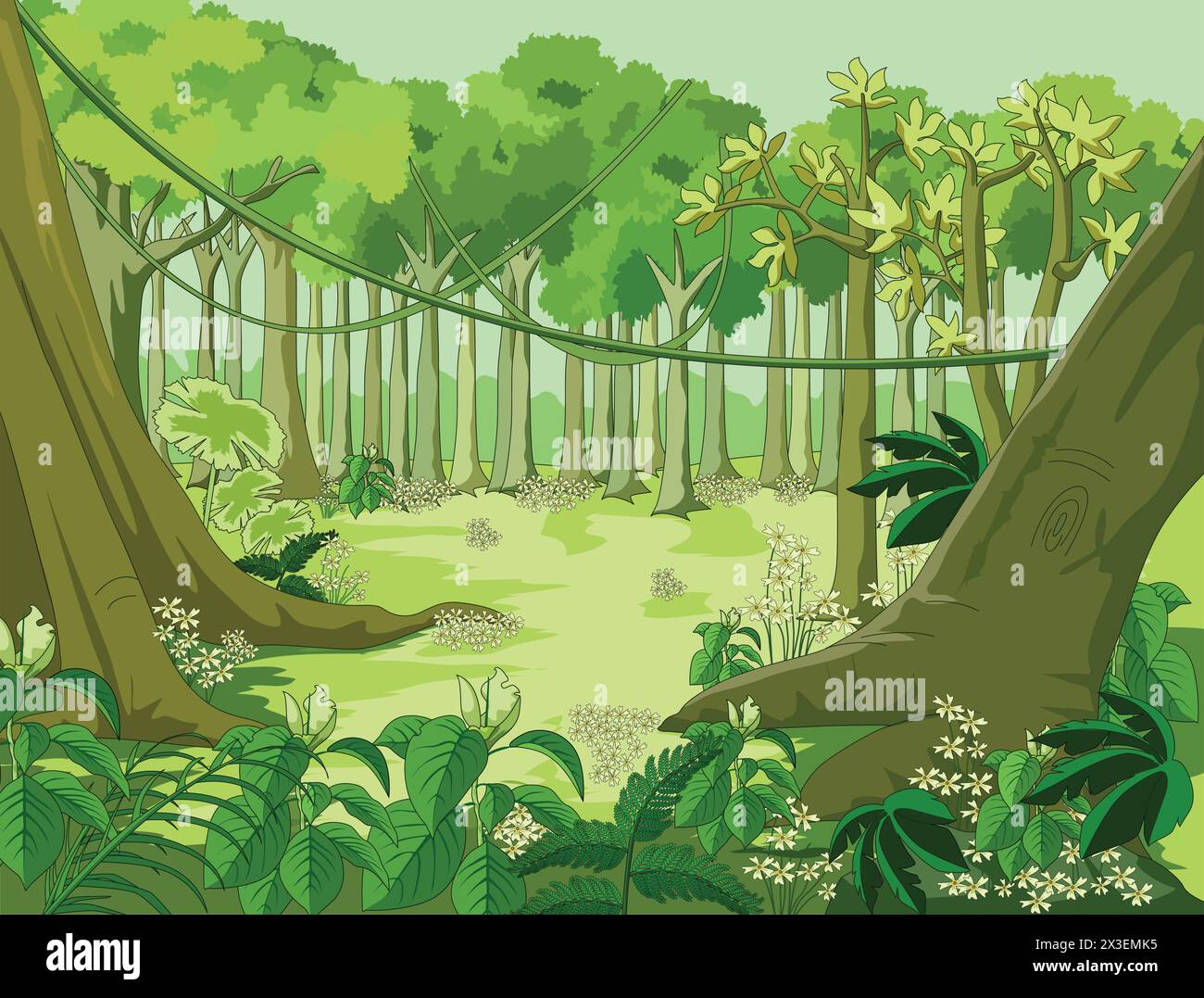 Forest vector illustration Stock Vector Image & Art - Alamy