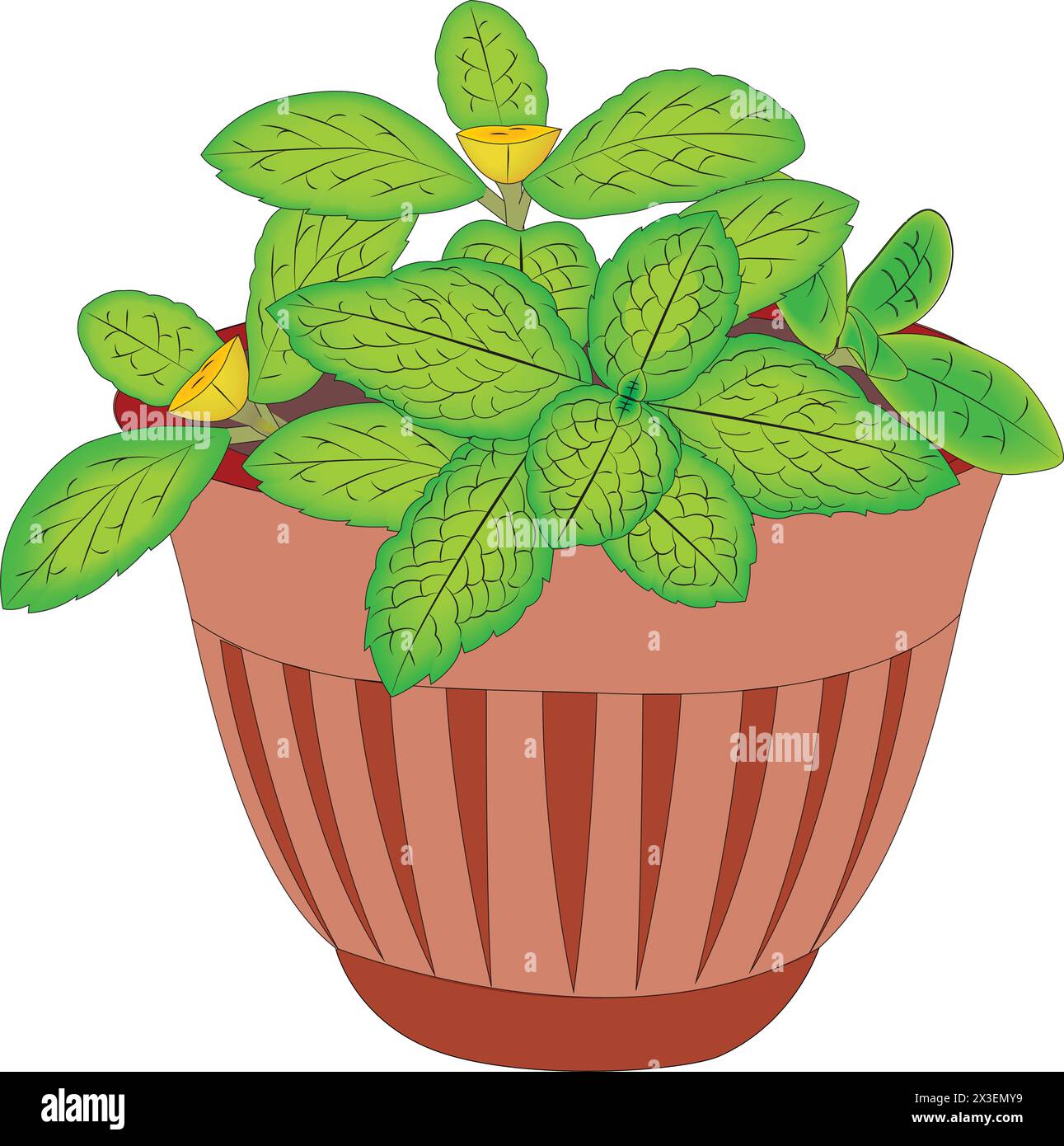 Pot with leaves vector illustration Stock Vector Image & Art - Alamy