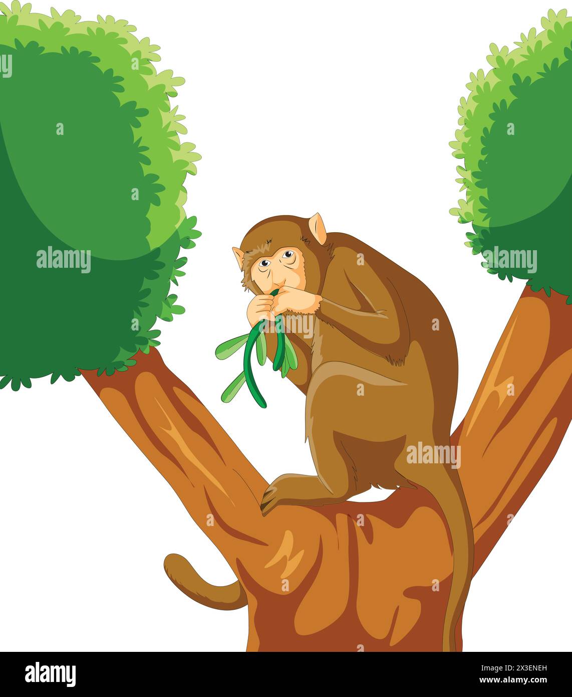 Monkey eating leaf vector illustration Stock Vector Image & Art - Alamy