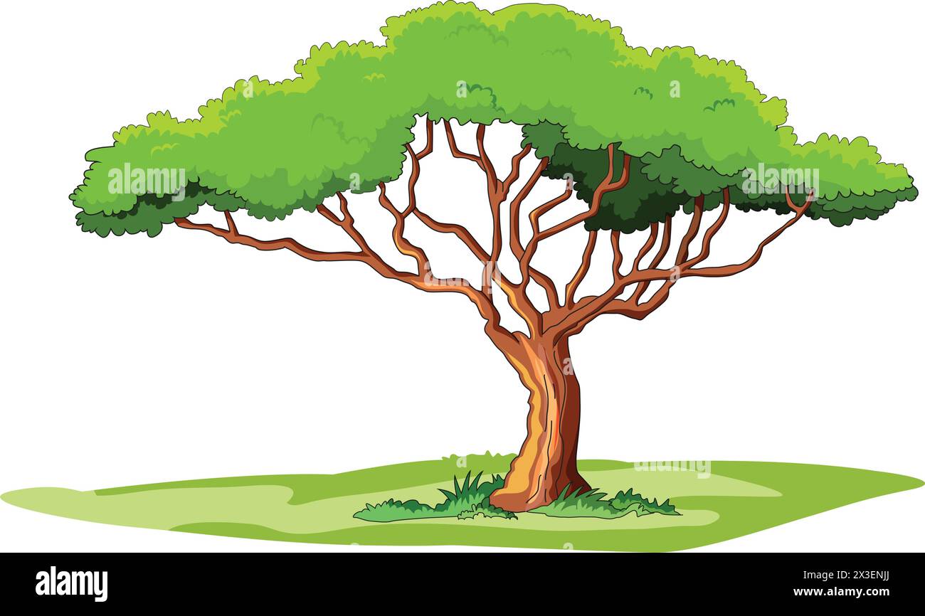 Tree vector illustration Stock Vector Image & Art - Alamy