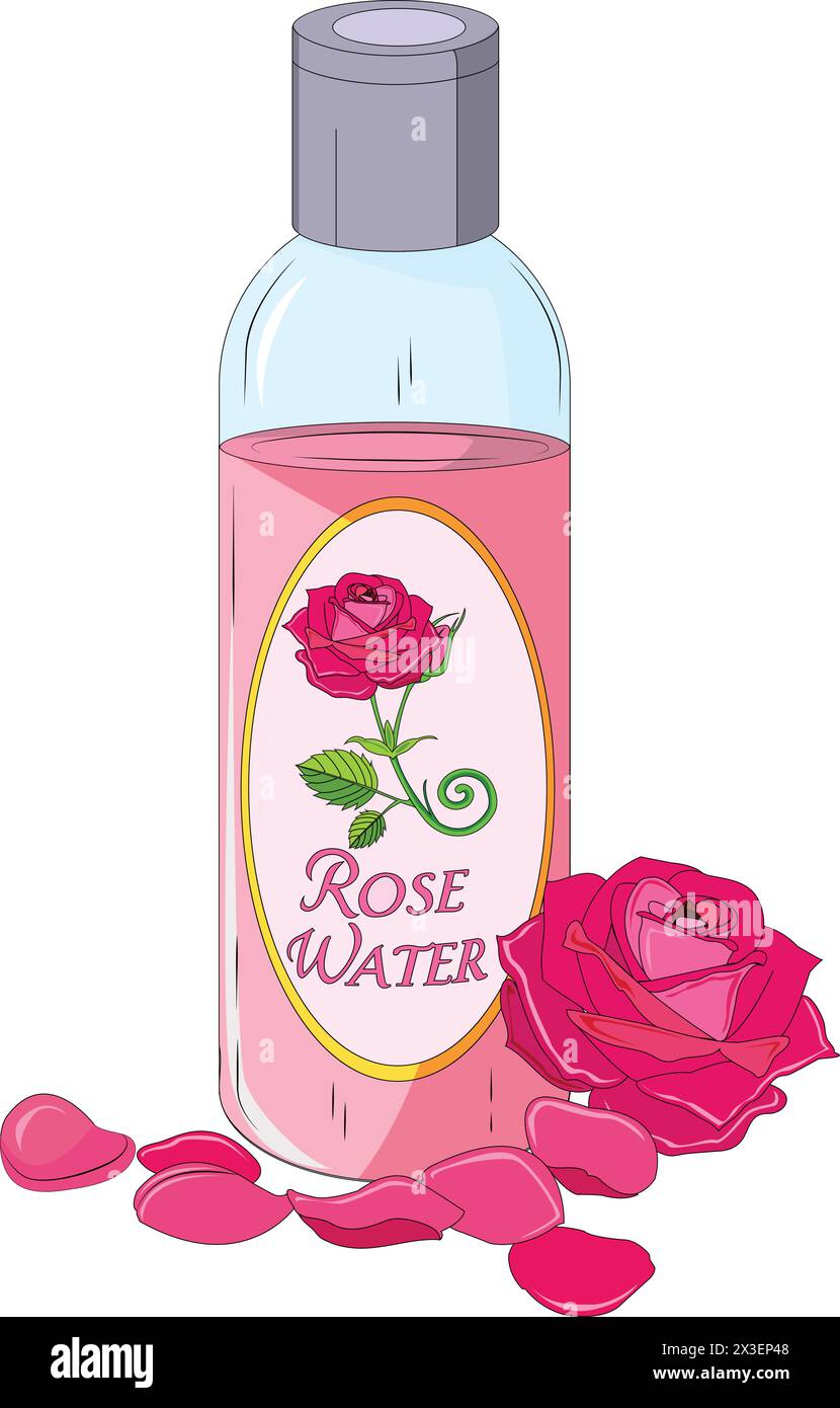 Rose water vector illustration Stock Vector Image & Art - Alamy