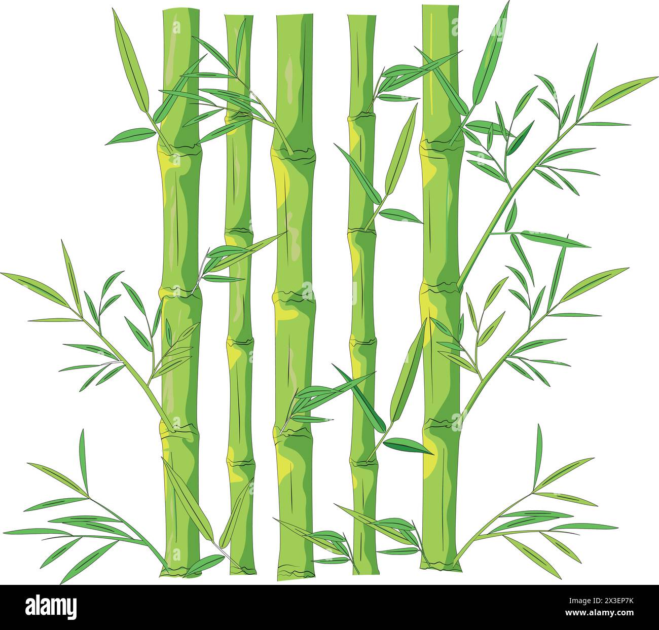 Sugarcane vector illustration Stock Vector Image & Art - Alamy