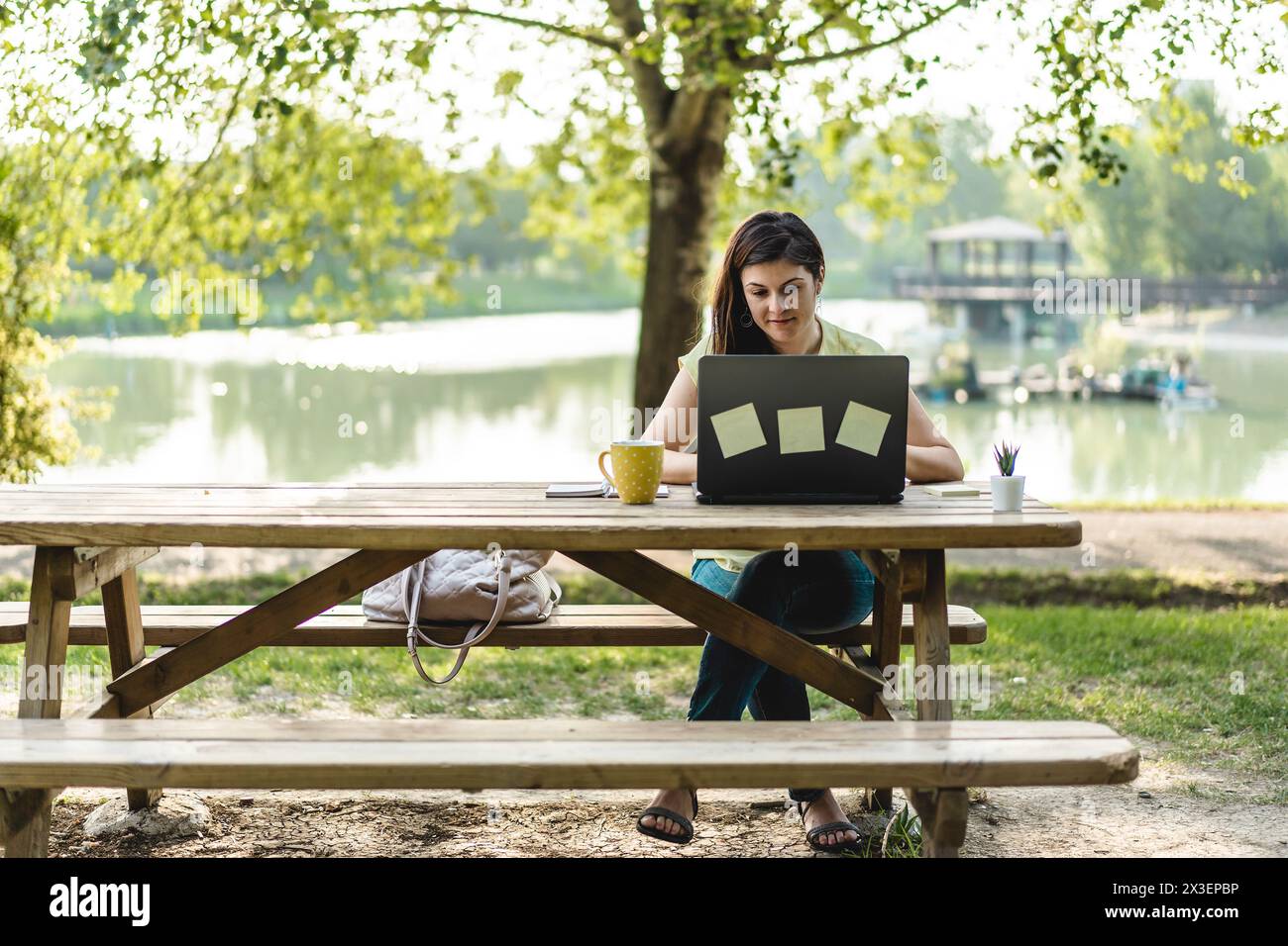 Freelancer working in nature's calm. Serene park setting enhances ...