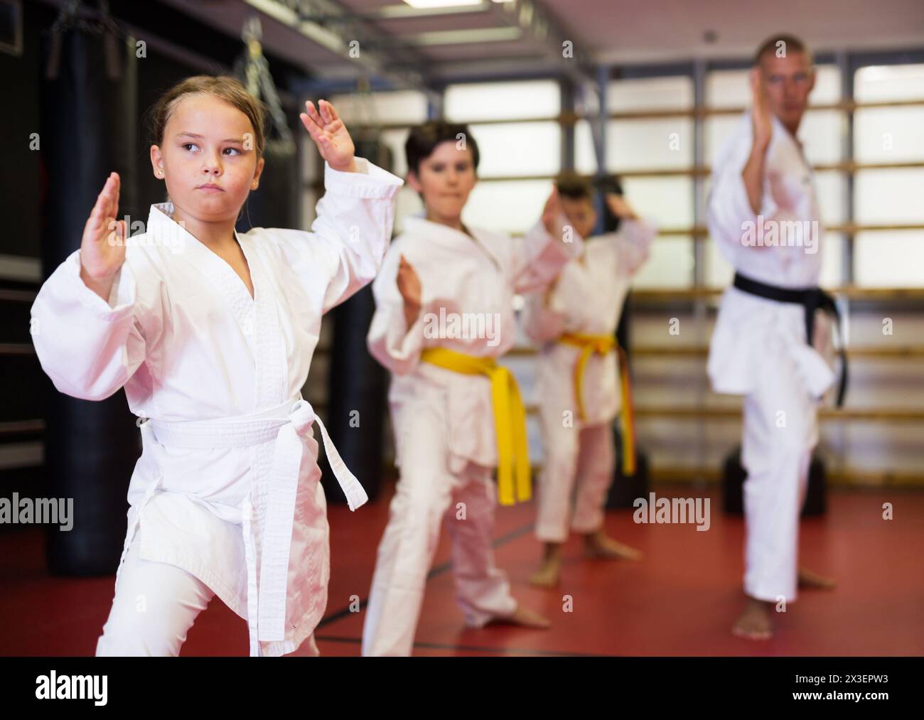 Girl fighting karate stand in the gym. Children in pair practice karate ...