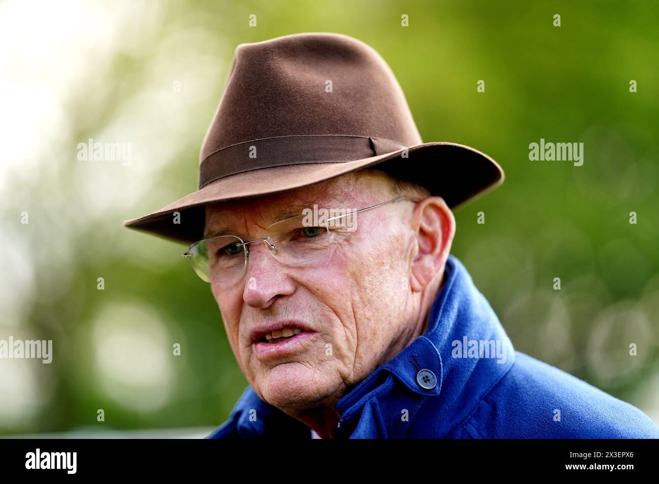 Siyola horse hi-res stock photography and images - Alamy