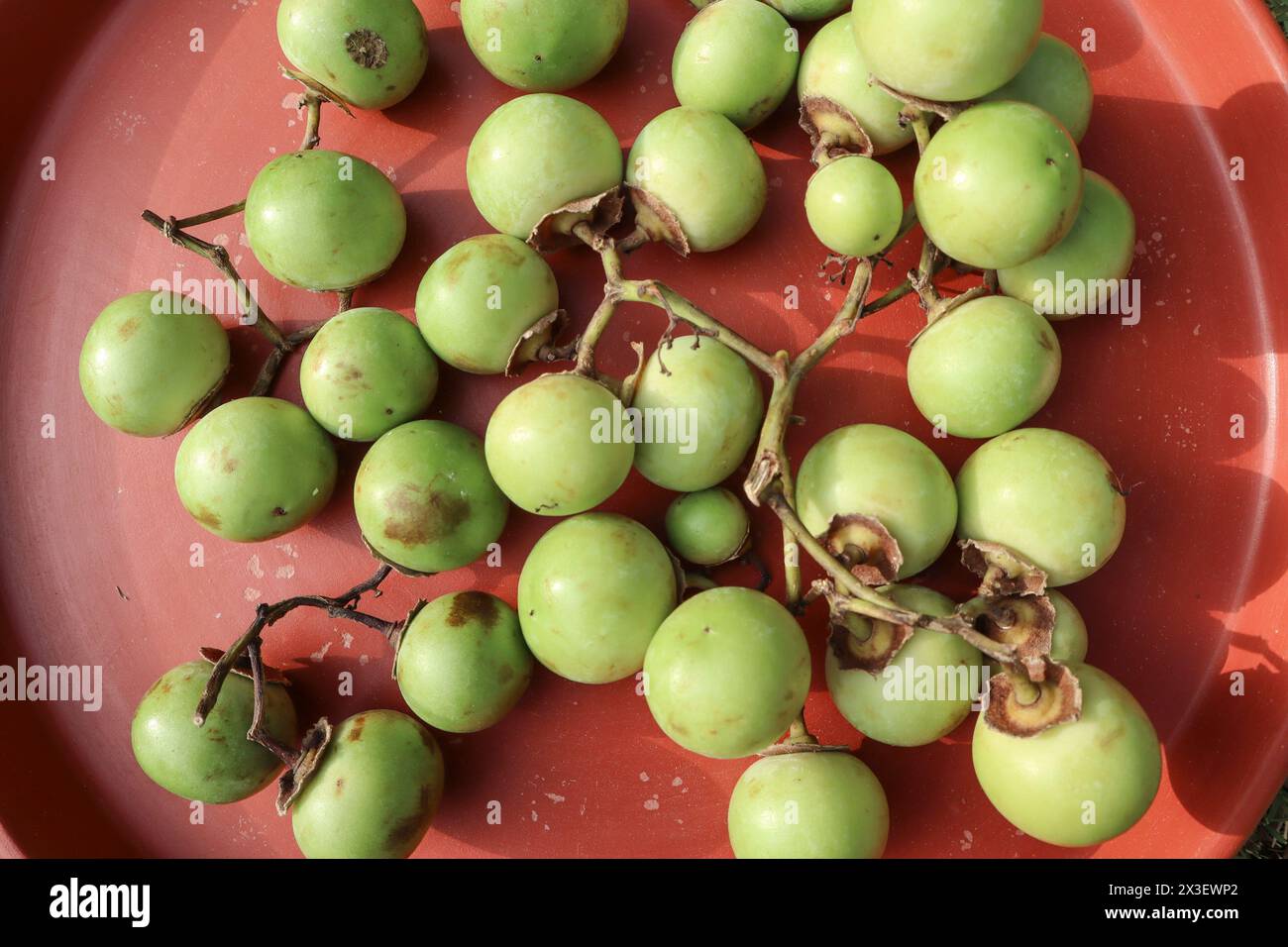 Lasuda fruit hi-res stock photography and images - Alamy