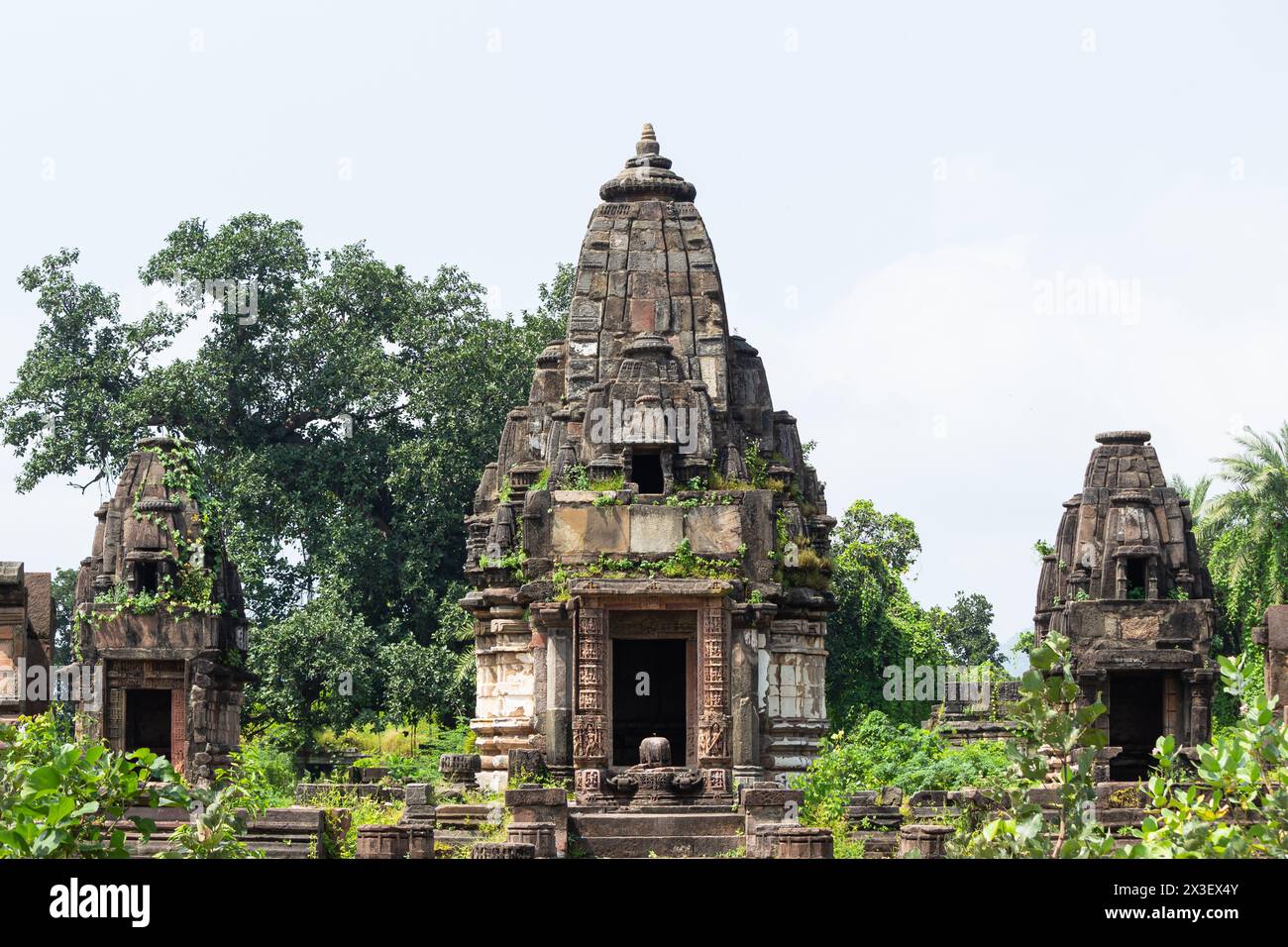 Ancient Ruin Shikhara of Jain Temples, 15th Century Monuments, Polo ...