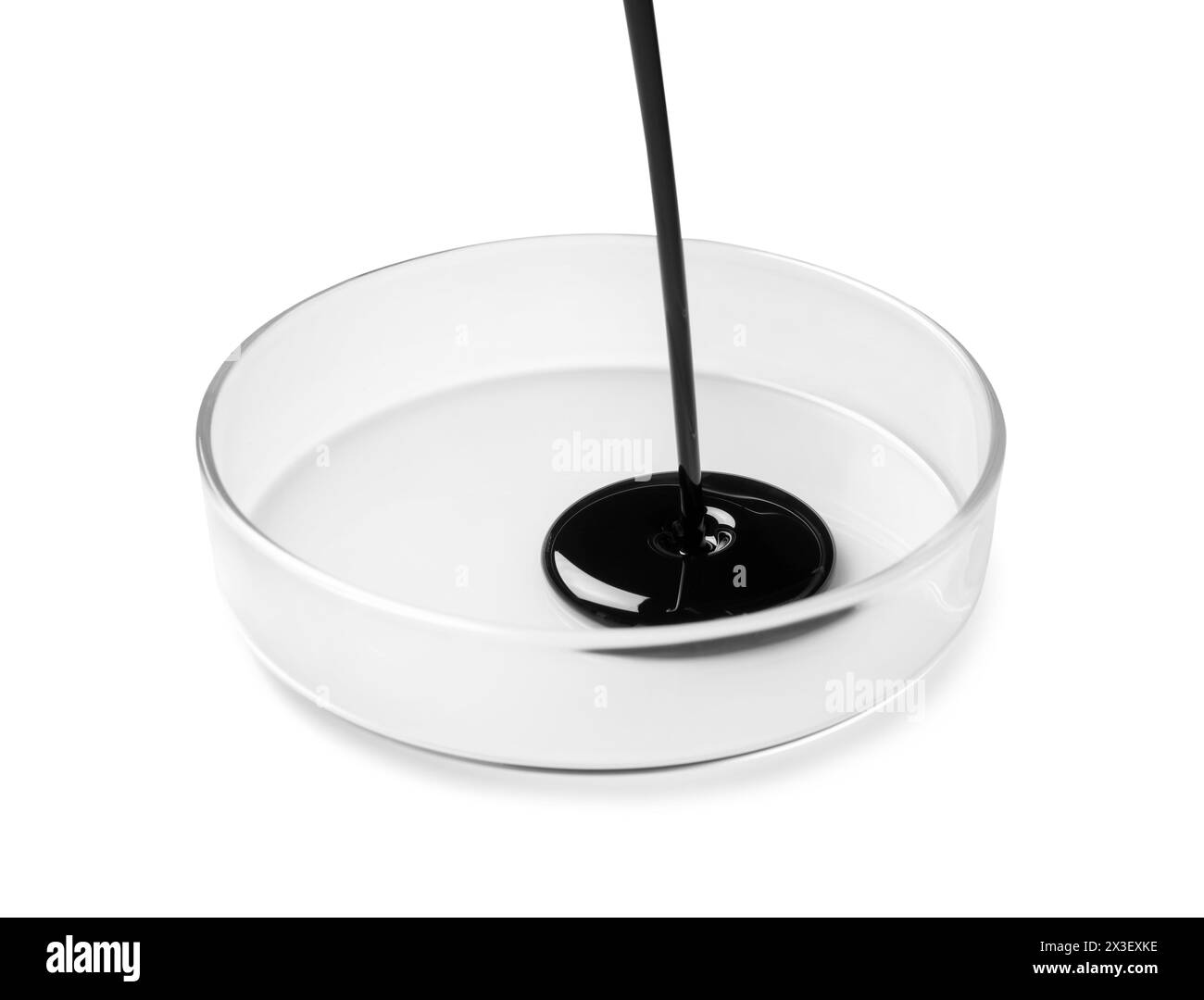 Pouring black crude oil into Petri dish on white background Stock Photo ...