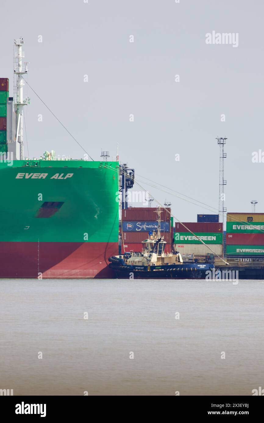 Tugboat Svitzer Kent assisting the container ship Ever Alp Stock Photo ...