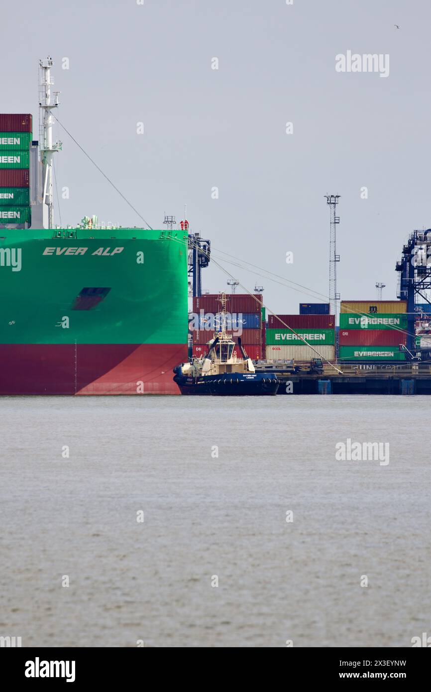 Tugboat Svitzer Kent assisting the container ship Ever Alp Stock Photo ...