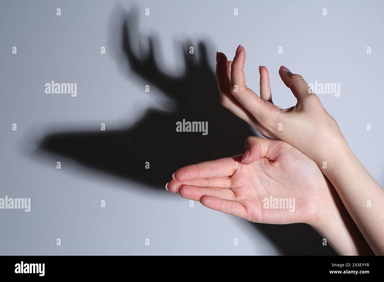 Hand shadow deer hi-res stock photography and images - Alamy