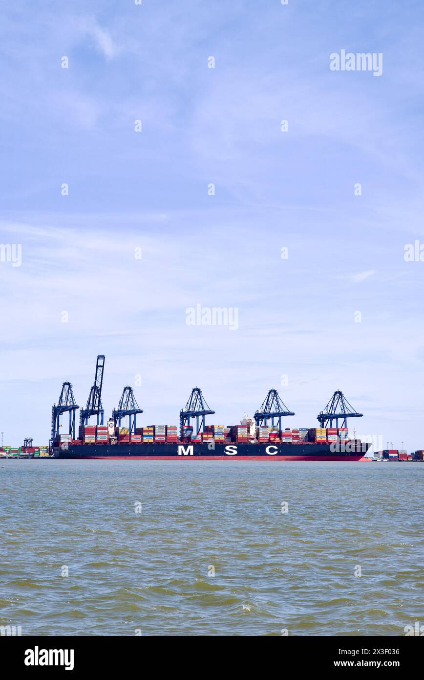 Container ship MSC Amsterdam berthed at the Port of Felixstowe, Suffolk ...