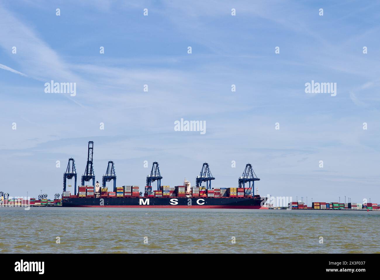 Container ship MSC Amsterdam berthed at the Port of Felixstowe, Suffolk ...