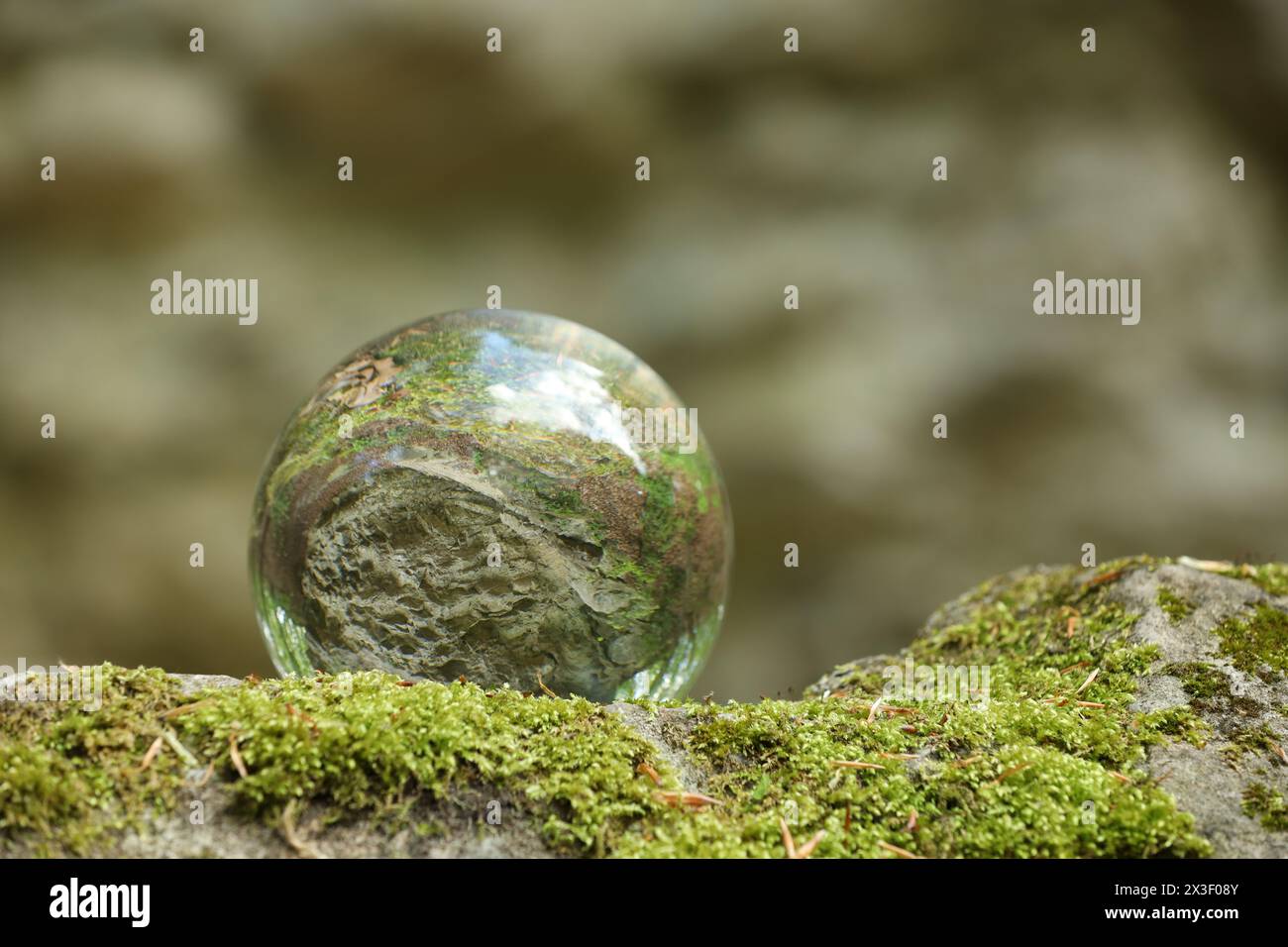 Beautiful forest, overturned reflection. Crystal ball on stone surface ...