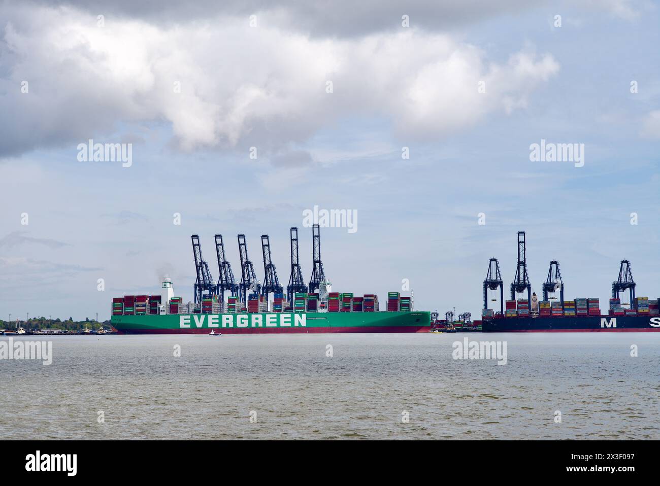 Container ship Ever Alp berthed at the Port of Felixstowe, Suffolk, UK ...