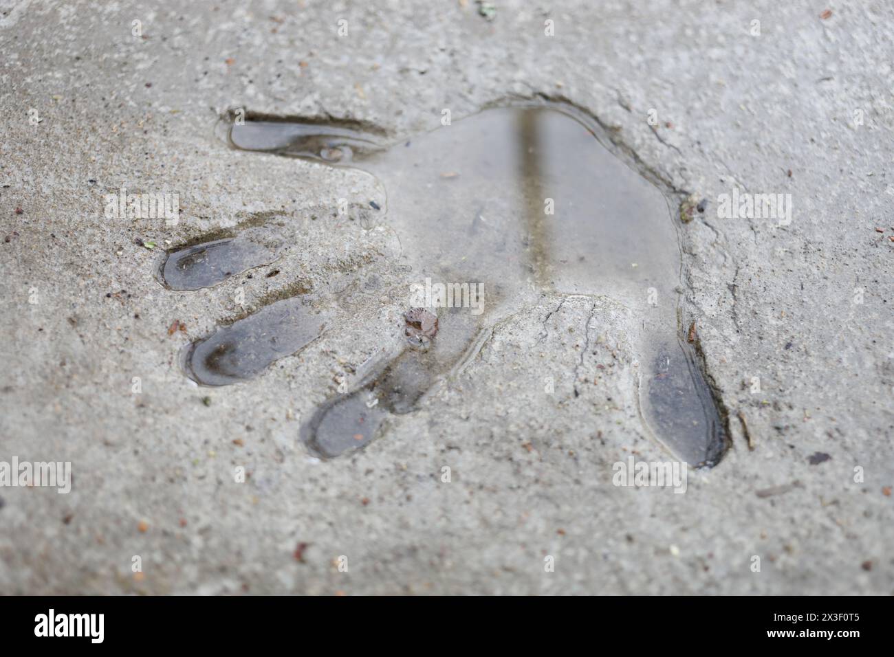 Human hand print on grey concrete slab with water at rainy day Stock ...