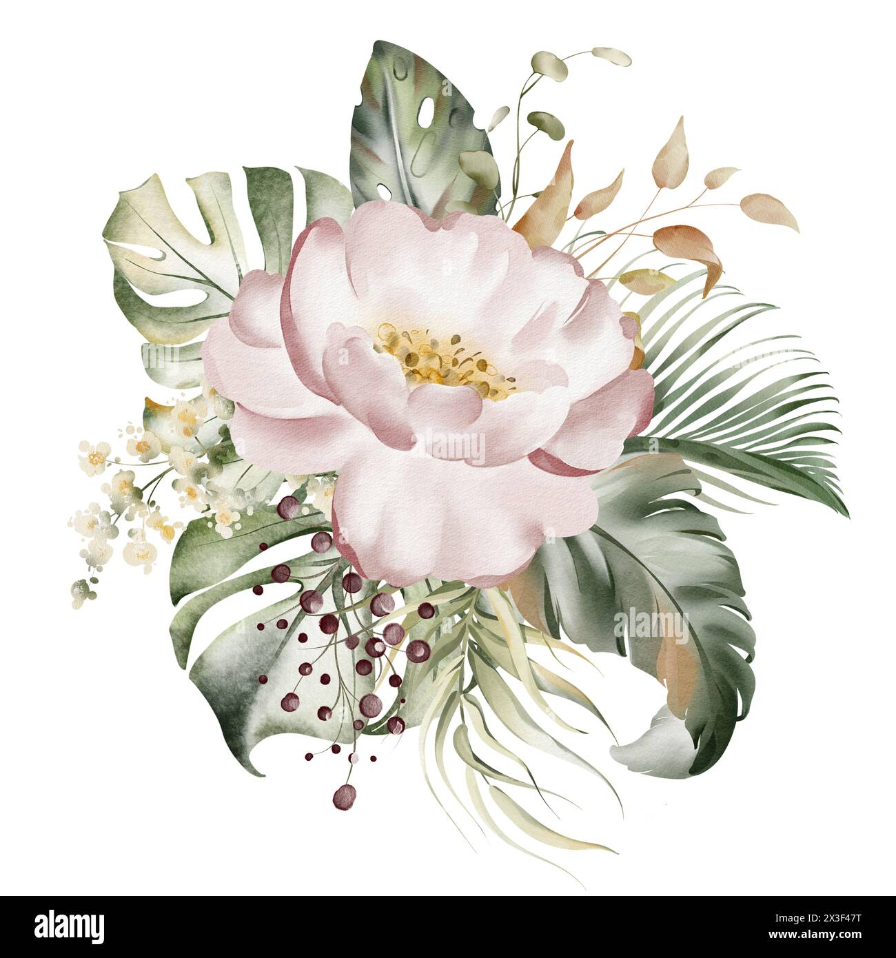 Botanical composition of watercolor roses Stock Photo - Alamy