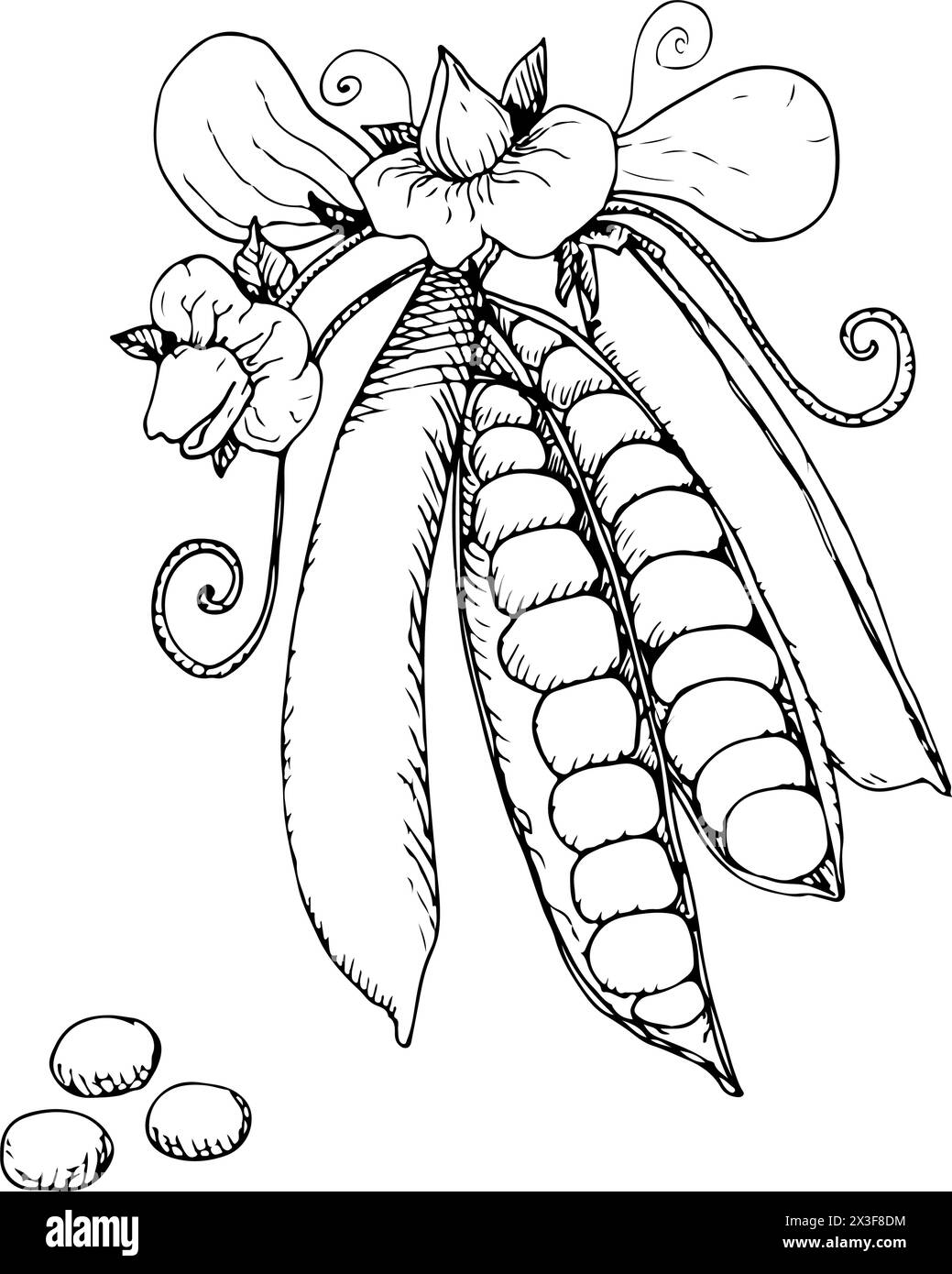 Coloring Pages Three Peas In A Pod [2025]