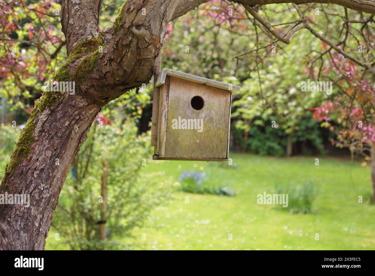 Roostbox hi-res stock photography and images - Alamy