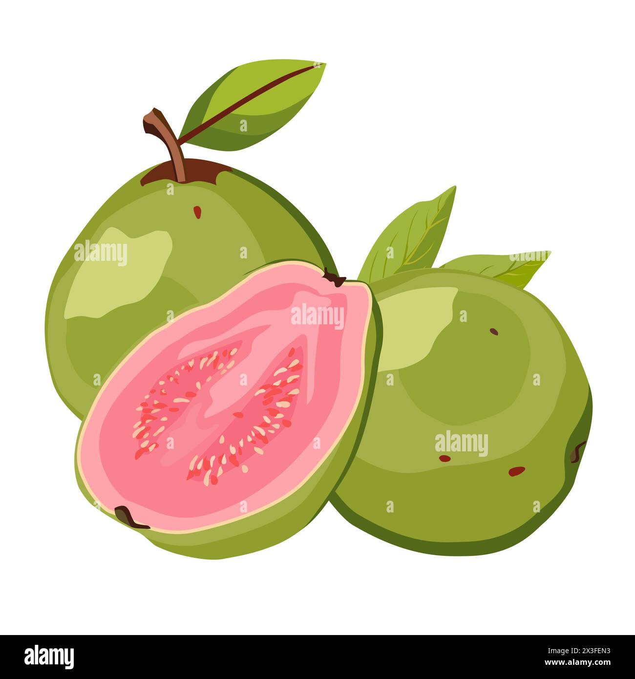 juicy and healthy green pink cut guava with green leaves. Isolated ...