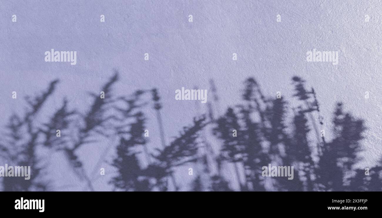 Wall with cast shadow patterns hi-res stock photography and images - Alamy