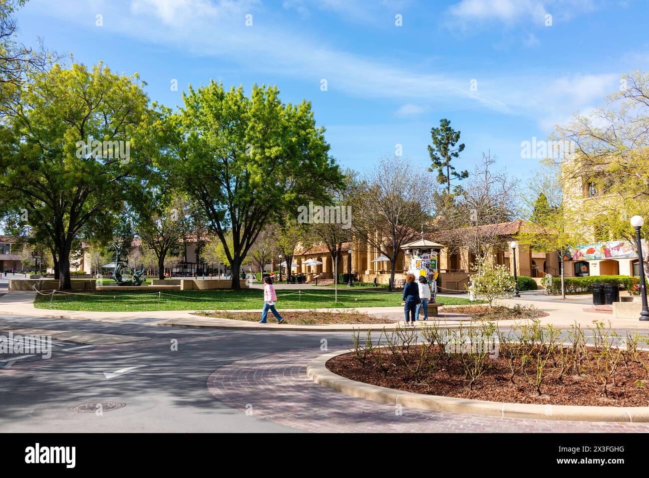 Photograph of Lasuen Mall on the campus of John Leland Junior Stanford ...