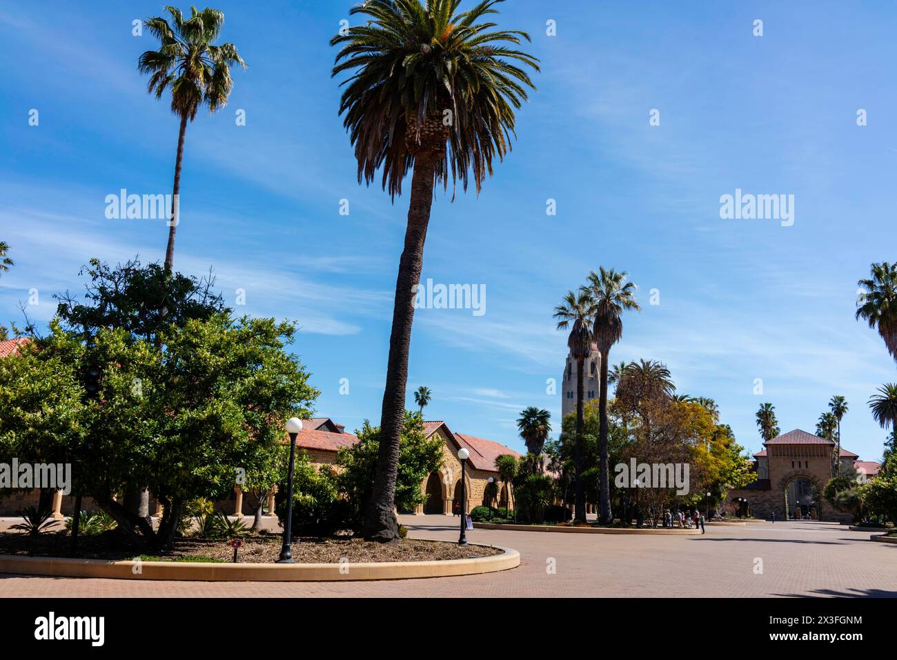 Leland stanford junior hi-res stock photography and images - Alamy