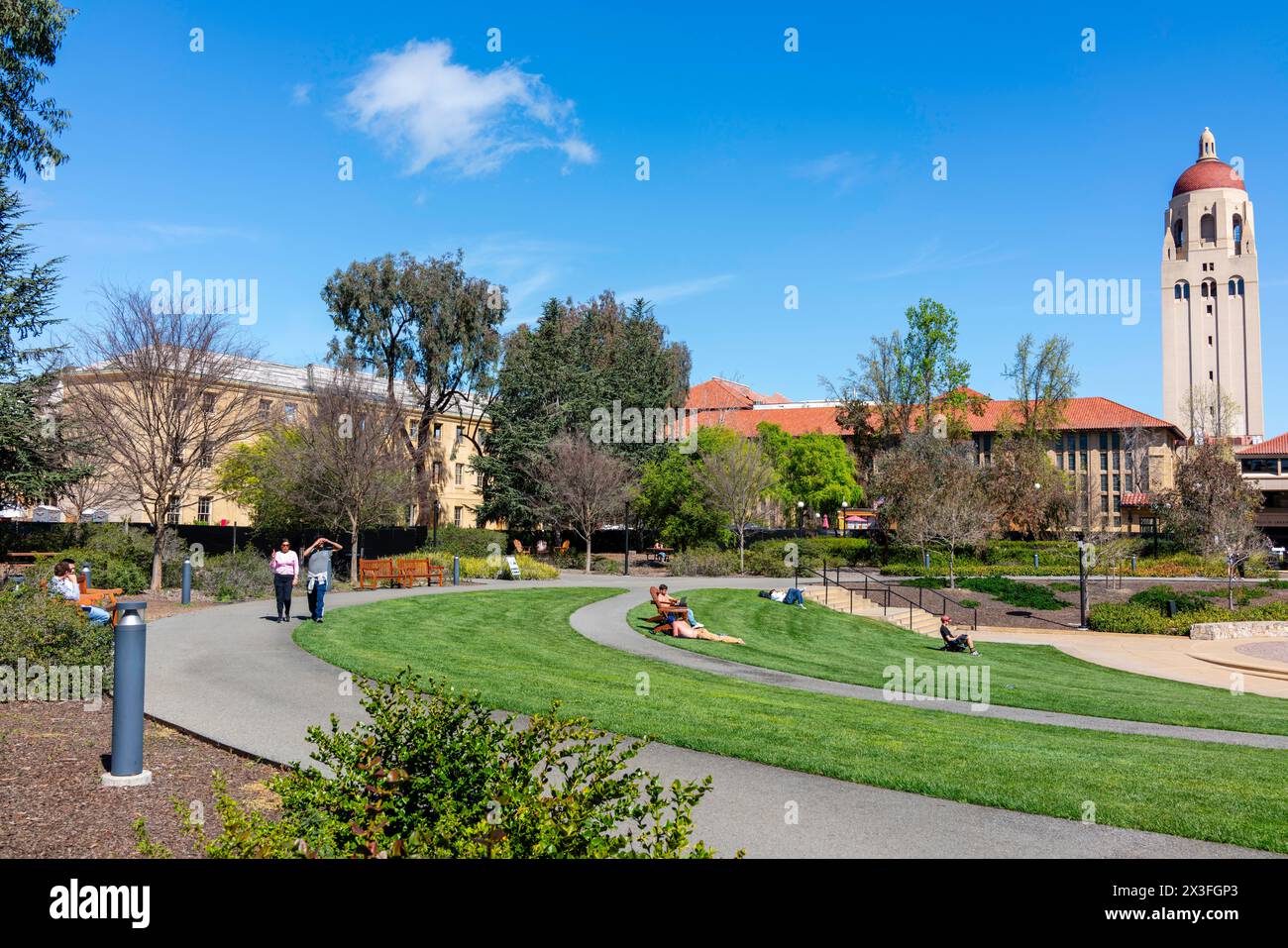 Campus library stanford hi-res stock photography and images - Alamy
