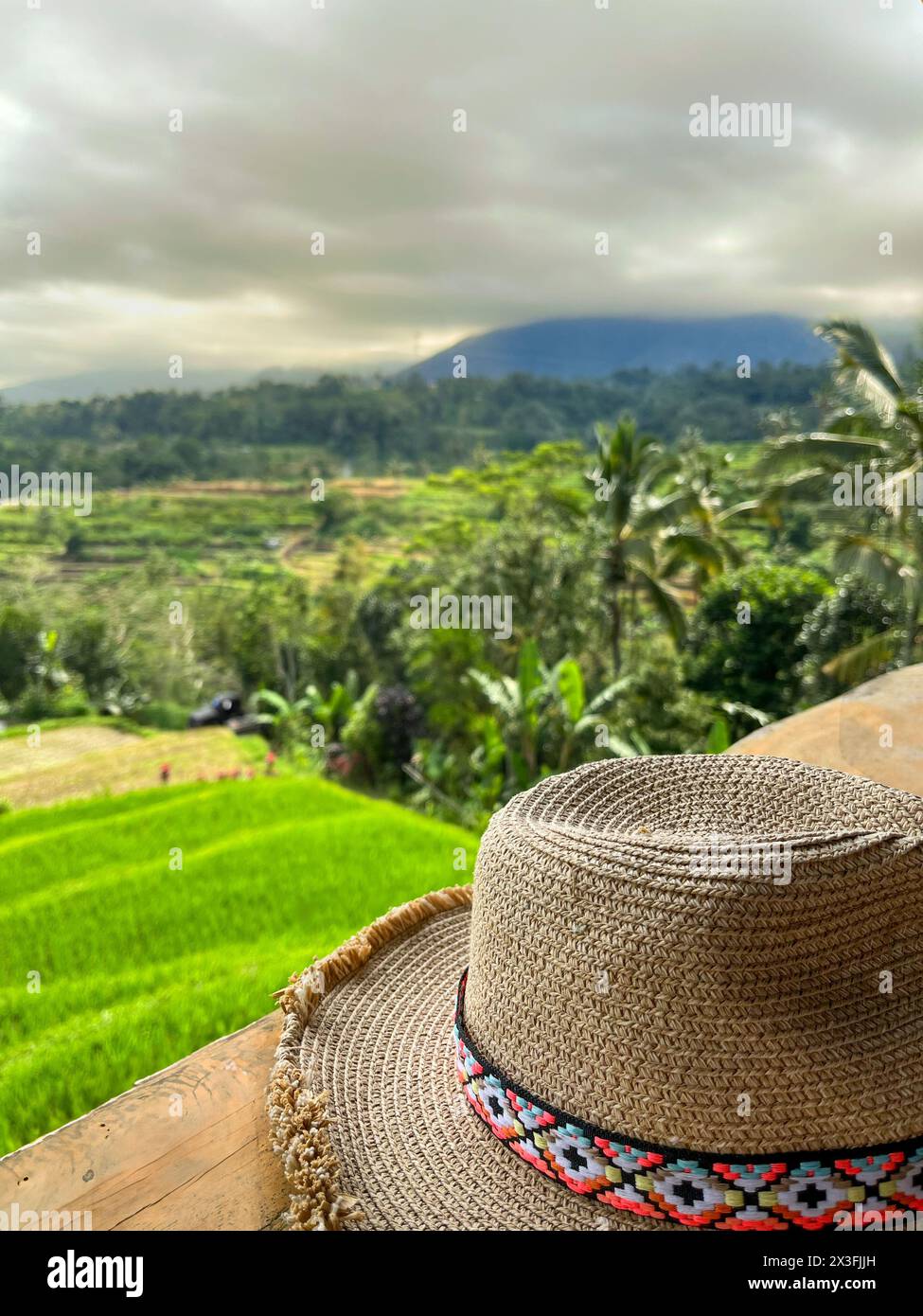 Traveler hat with a view of Bali rice fields, Bali, Indonesia Stock ...