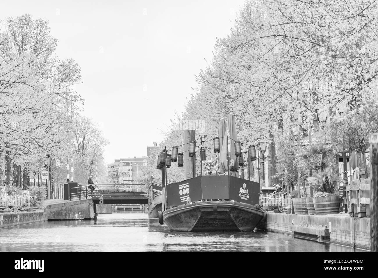 the city of Den haag in the netherlands Stock Photo - Alamy