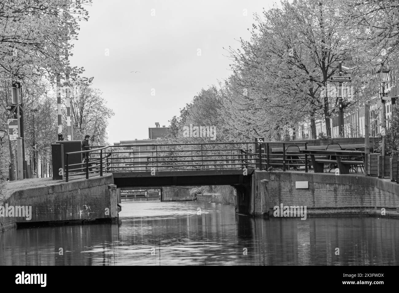 the city of Den haag in the netherlands Stock Photo - Alamy
