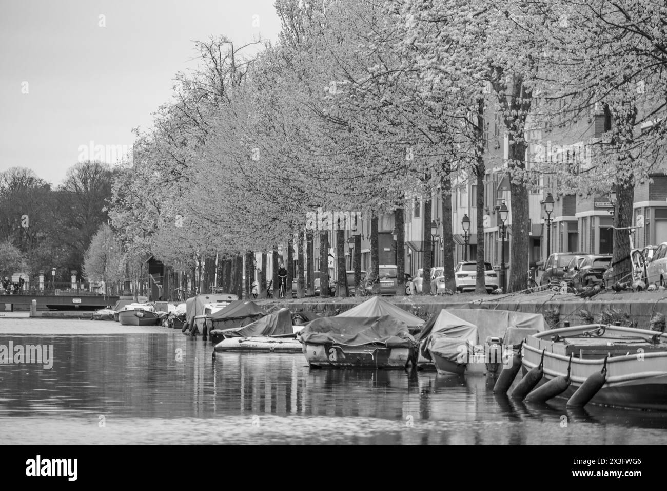 the city of Den haag in the netherlands Stock Photo - Alamy