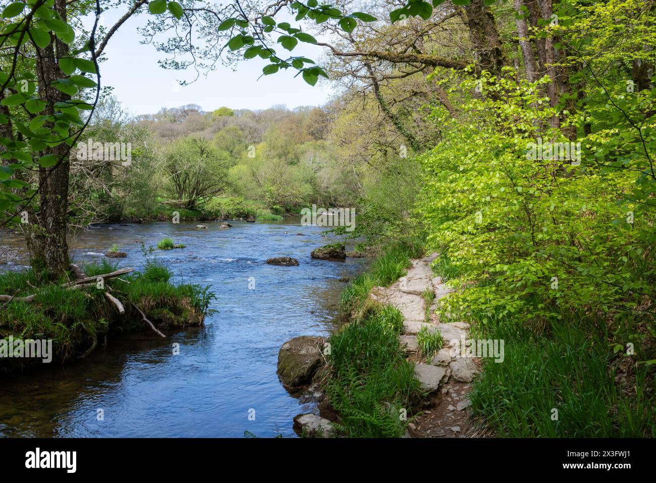 Landscape photo of the river Barle flowing through the woods at Tarr ...