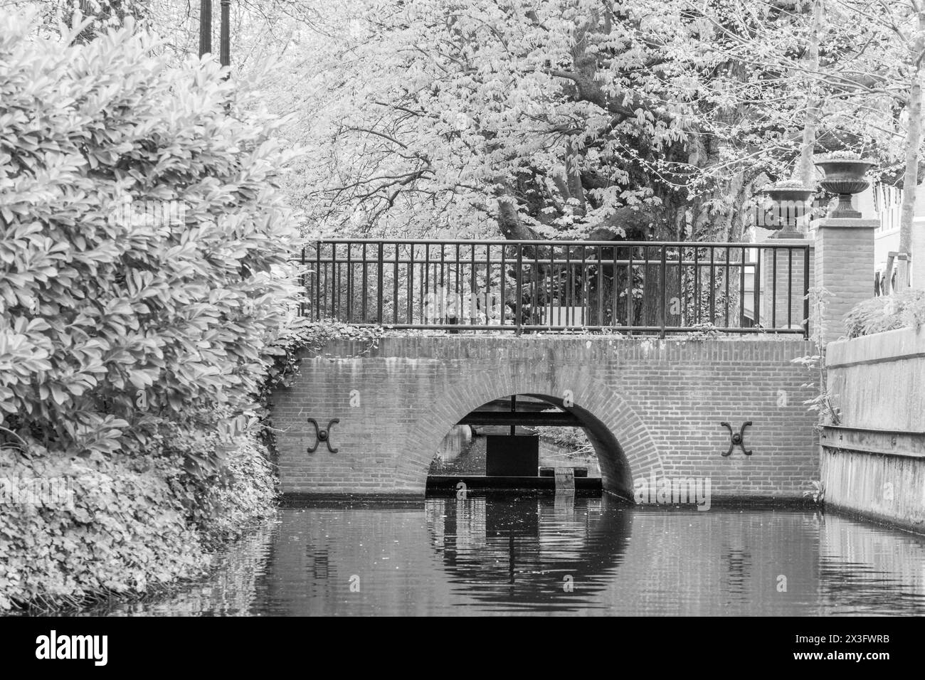 the city of Den haag in the netherlands Stock Photo - Alamy
