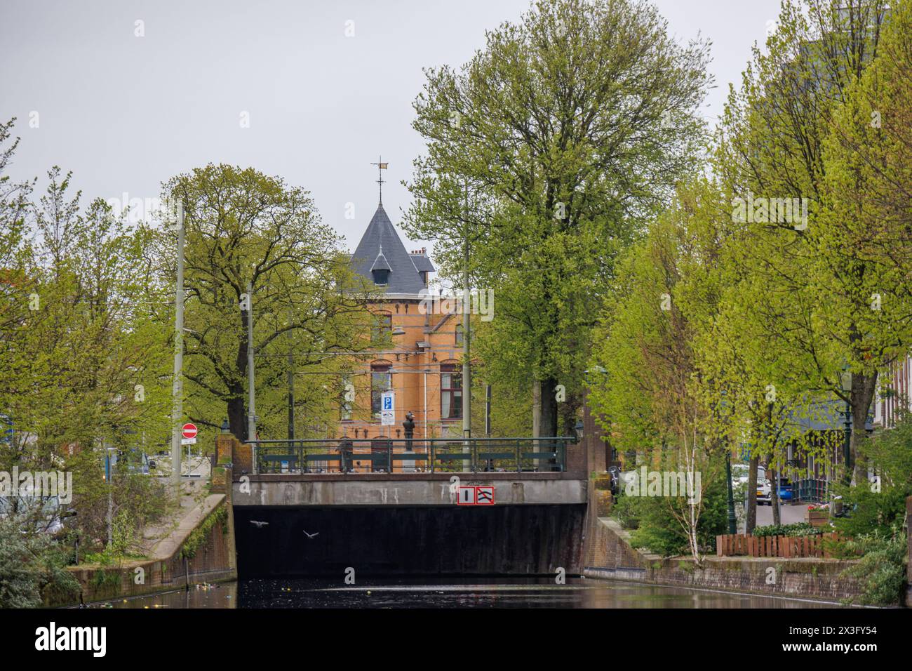 the city of Den haag in the netherlands Stock Photo - Alamy