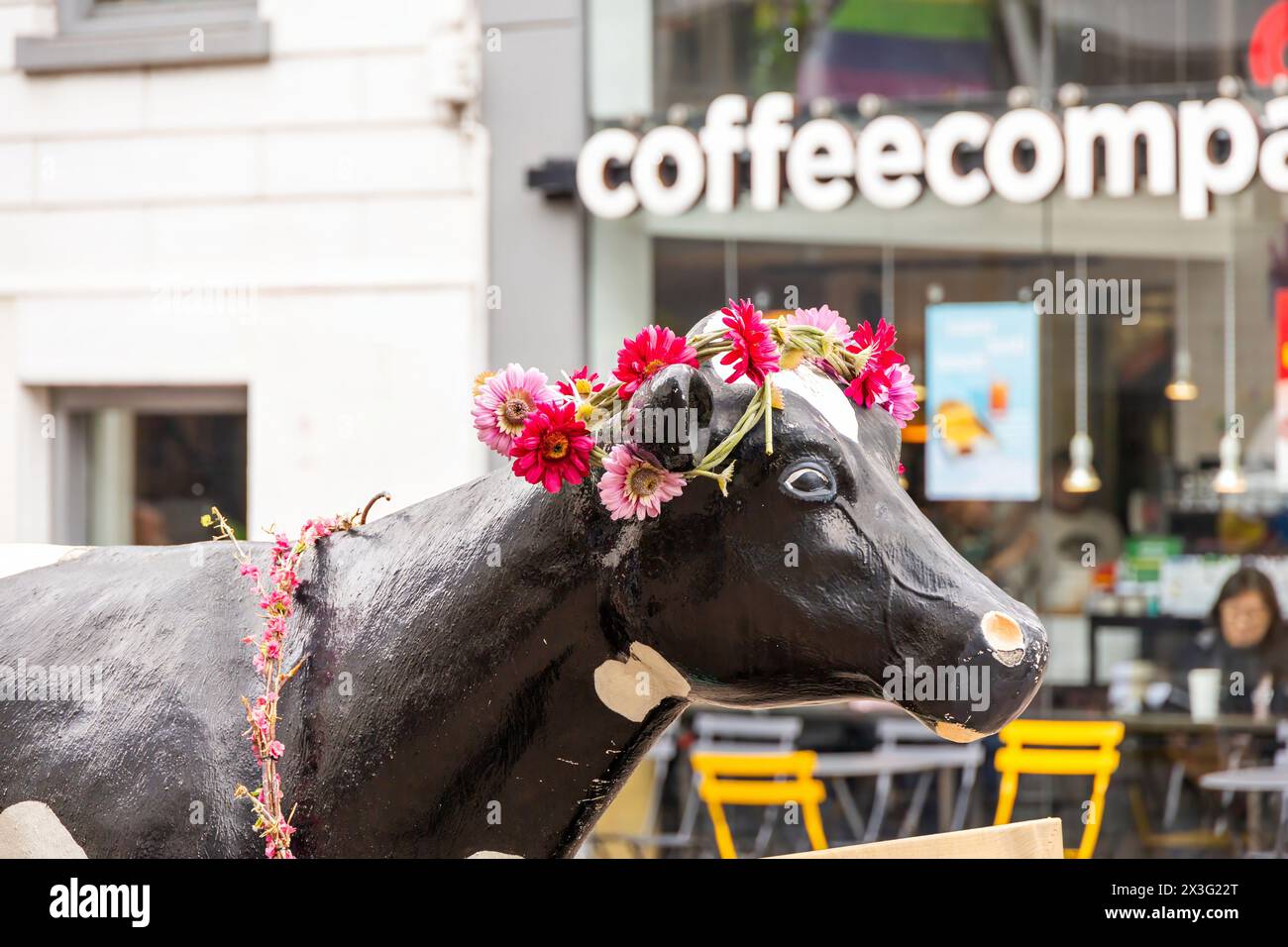 sculpture of a cow in the city of rotterdam Stock Photo - Alamy
