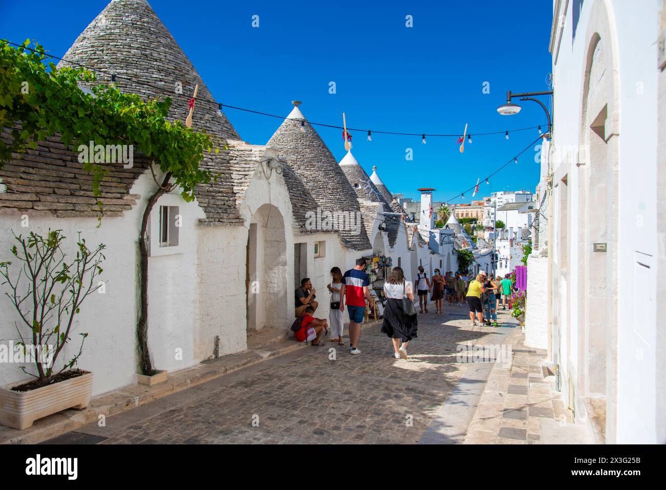 Panoramic view of Alberobello Trulli. Trullo is a traditional Apulian ...