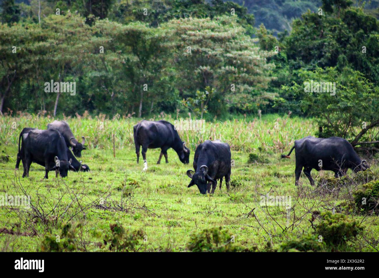 Farmers in resistance hi-res stock photography and images - Alamy