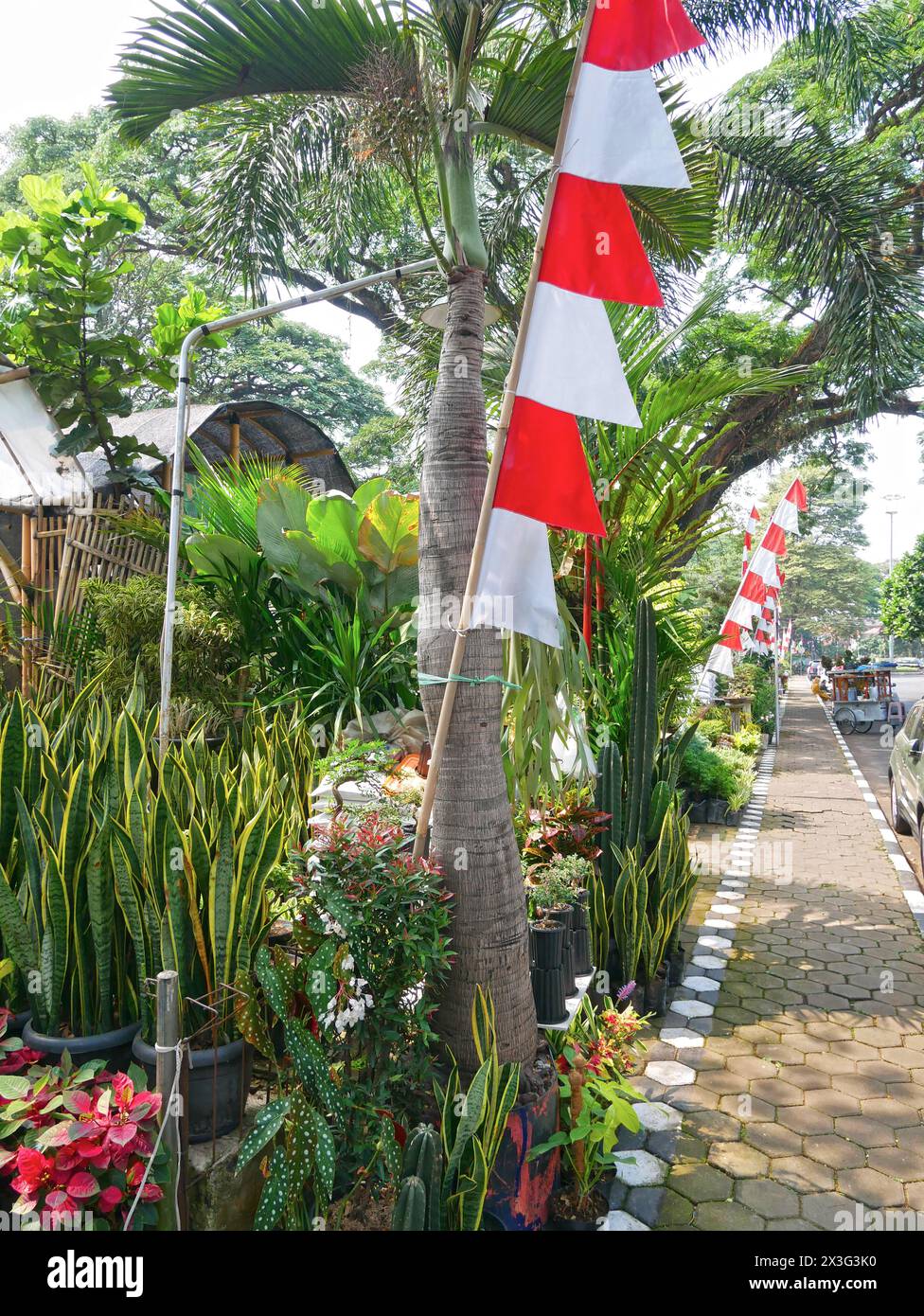 Independencel Day flags and banners at Jalan Taman Cibeunying Selatan ...