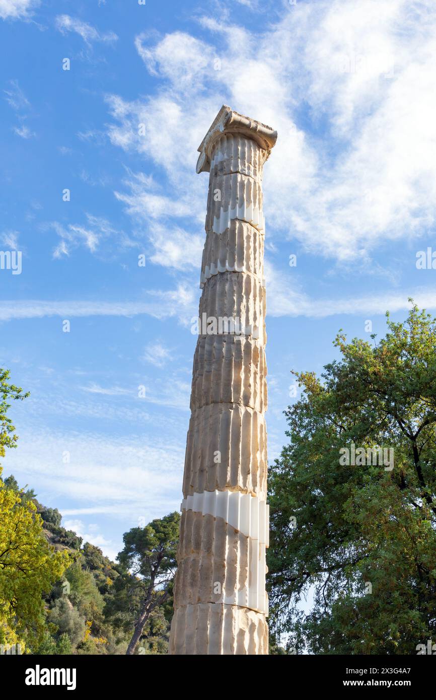 Ionic column of the echo portico (4th BC),Ancient Olympia, Olympia, Greece Stock Photo - Alamy