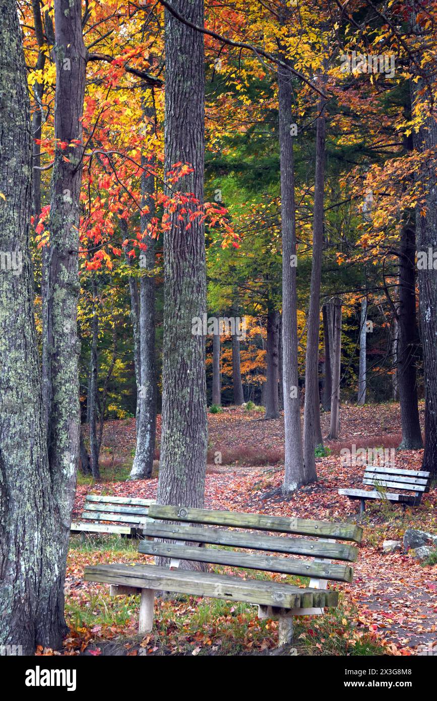 Benches, at Bays Mountain Park and Planetarium, Kingsport, Tennessee ...