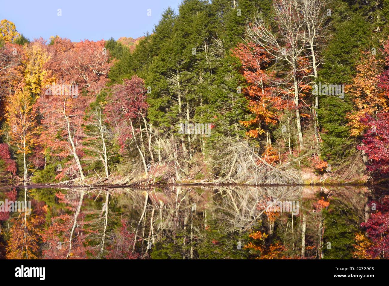 Autumn season turns Bays Mountain Lake, Bays Mountain Park and ...