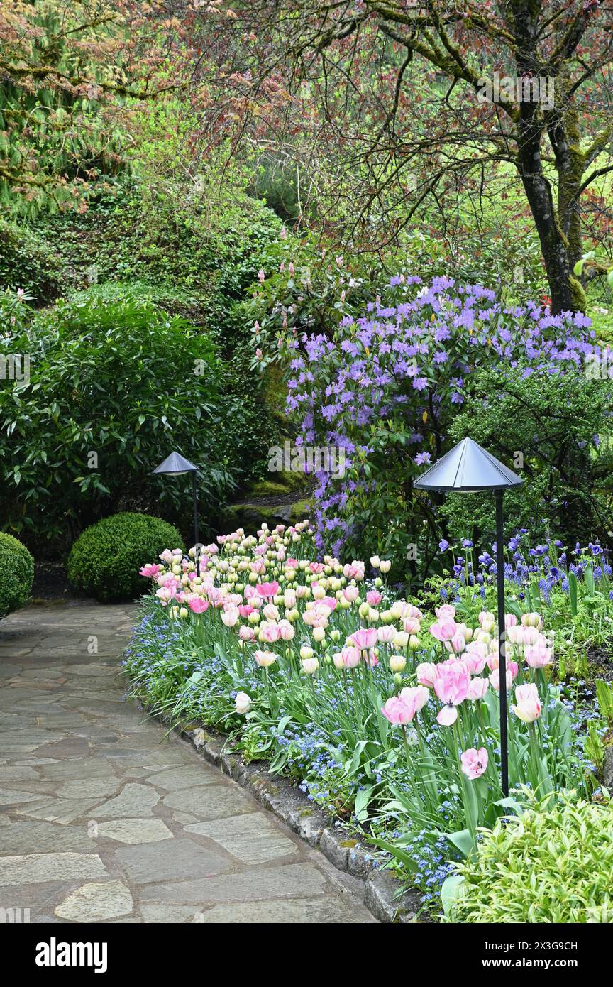 Spring flowers and bulbs in full colourful bloom at beautiful estate ...
