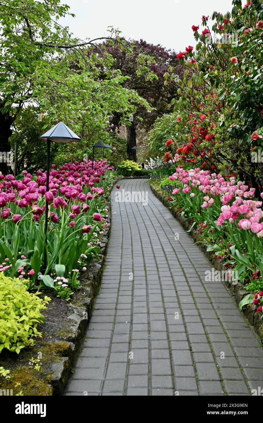 Spring flowers and bulbs in full colourful bloom at beautiful estate ...