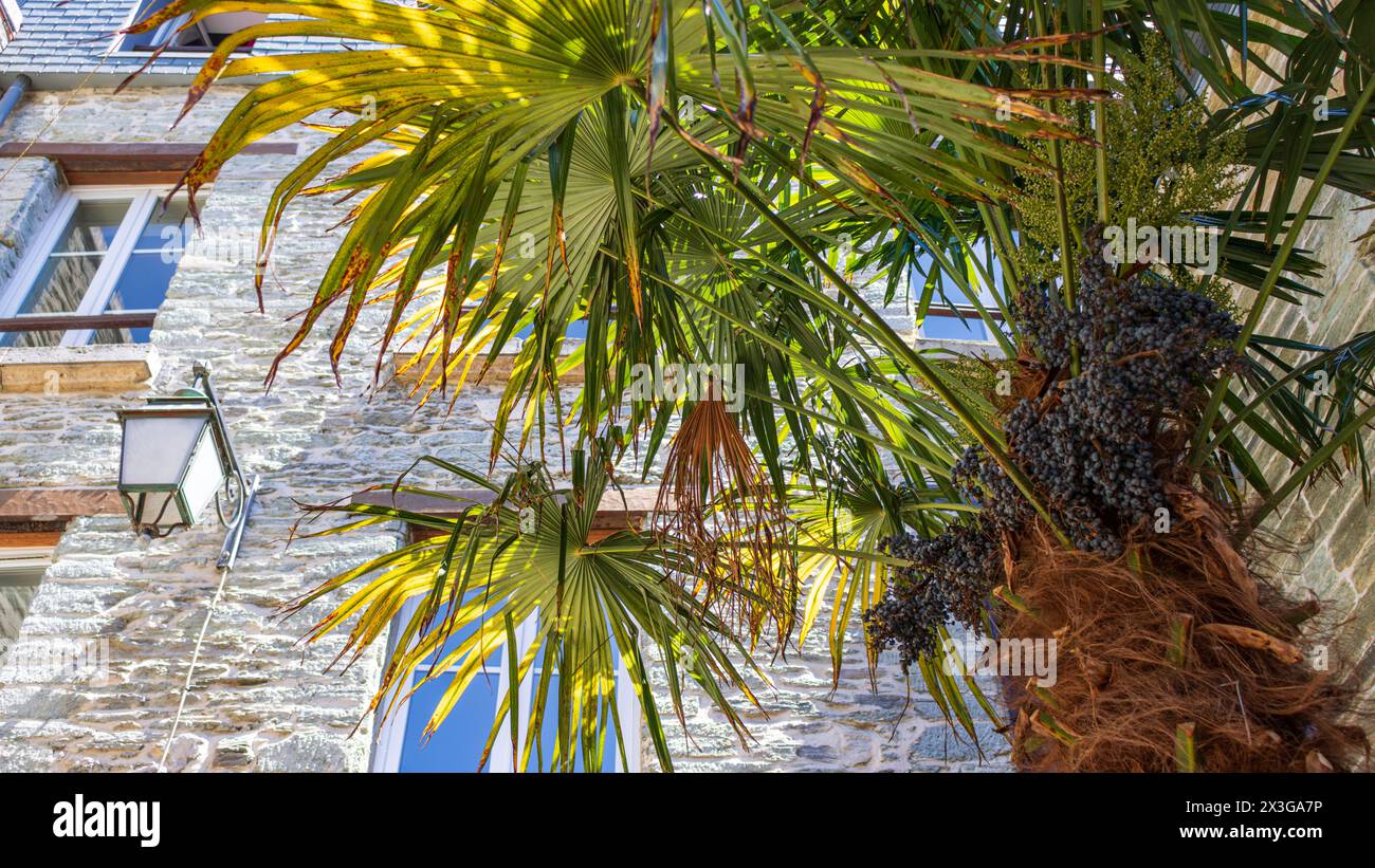 Cherbourg harbor in normandy hi-res stock photography and images - Alamy