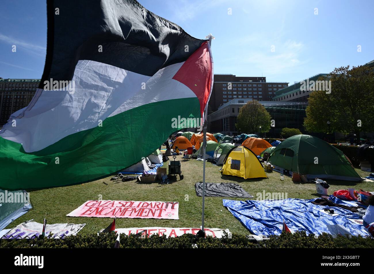 Hammas flag hi-res stock photography and images - Alamy