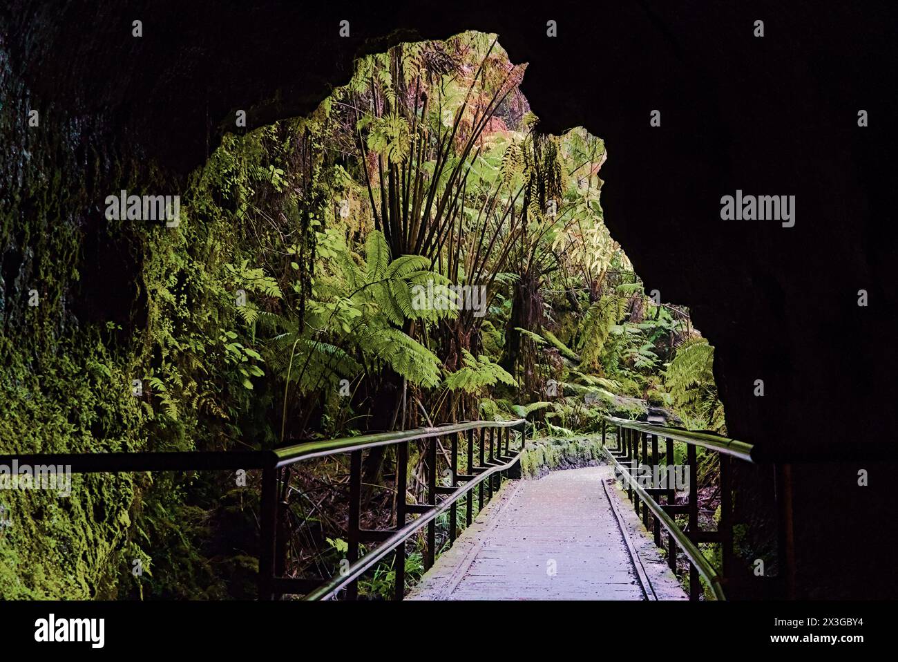 Wood bridge at the lave tube entry in Hawaii Volcanos National Park ...