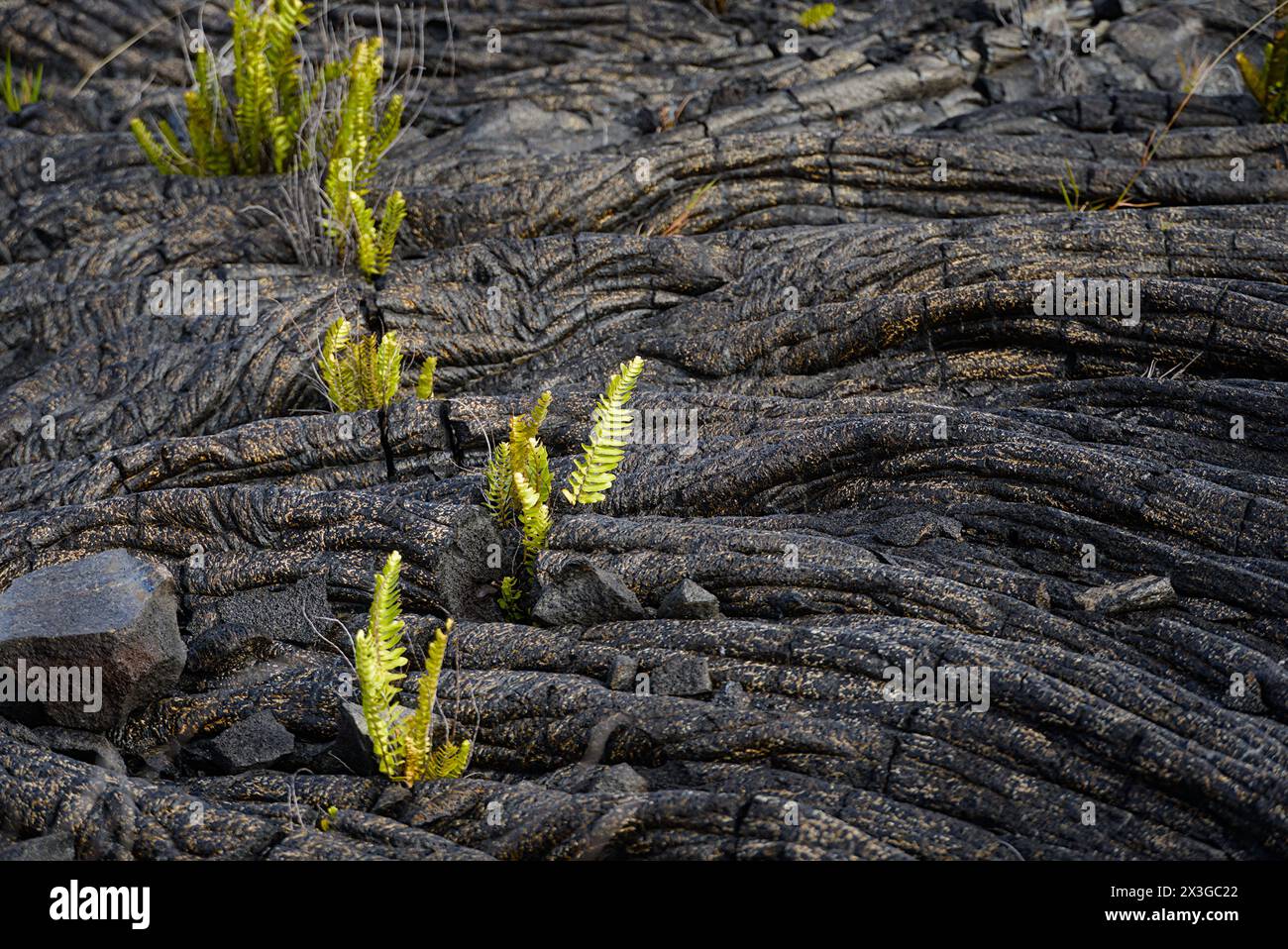 Lava flow patterns hi-res stock photography and images - Alamy