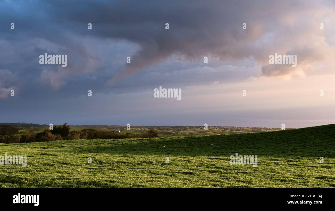 Green grass field with hills under the sunset sky on Big Island Stock ...